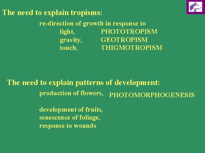 Plant growth and development The need to explain