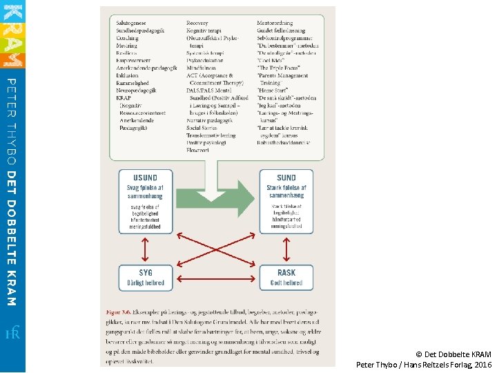 Det Dobbelte KRAM Peter Thybo Hans Reitzels Forlag