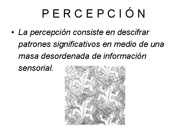 PROCESOS Psicologa I CC7116 Segunda Sesin SENSACIN PERCEPCIN
