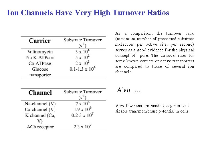 Understanding Transport through Membranes The importance of ion