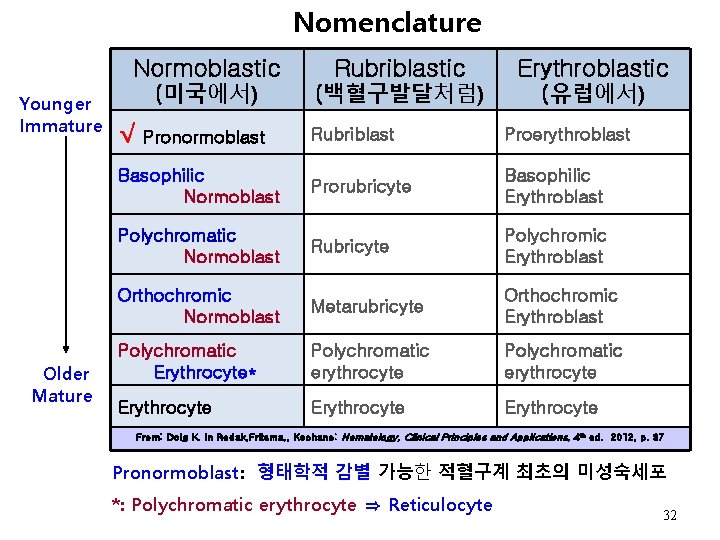 Lecture 2 HEMATOPOIESIS RBC PRODUCTION DESTRUCTION Chapter 7