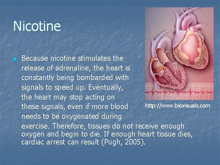 The Effects of Nicotine on the Heart Rate