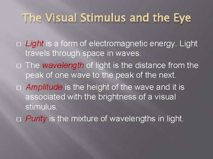 CHAPTER 4 SECTION 2 The Visual System Goal