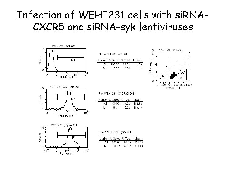 RNA Interference Iain Fraser Model for RNAi mechanism