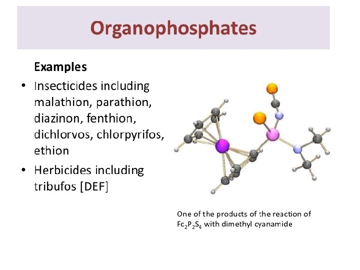 MODE OF ACTION OF ORGANOPHOSPHATES SOURCE THE PPT