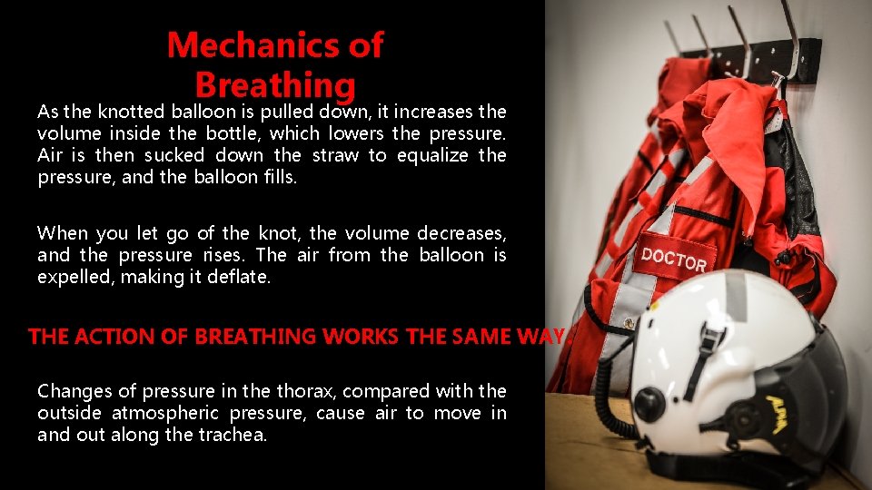 Lung Trauma By Dr Ben Siggers and Jason