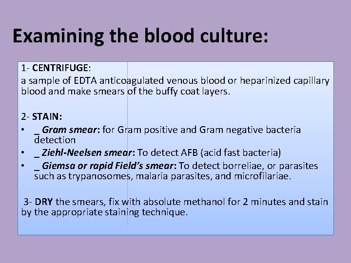 Blood Culture GROUP MEMBERS Aimen Niaz Rafia Hafeez
