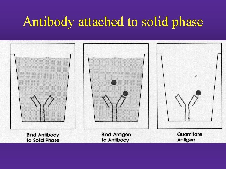 Immunochemical methods are based on the formation of