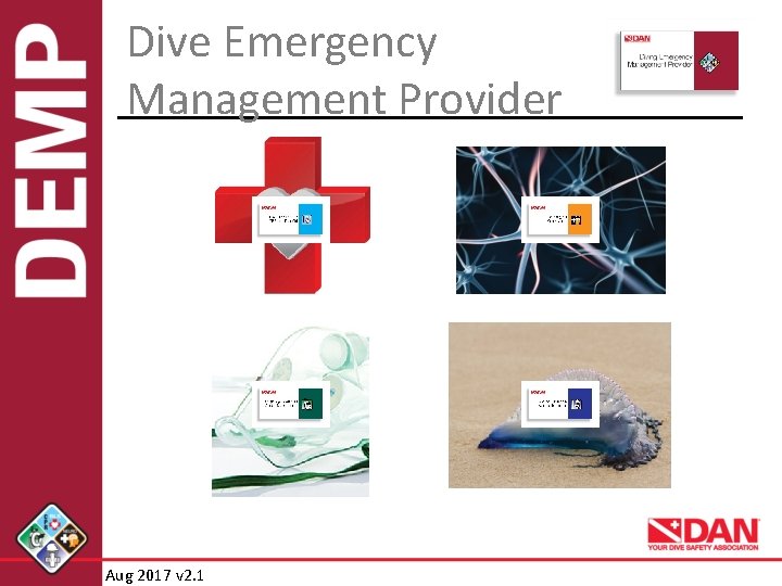 Dive Emergency Management Provider Aug 2017 v 2