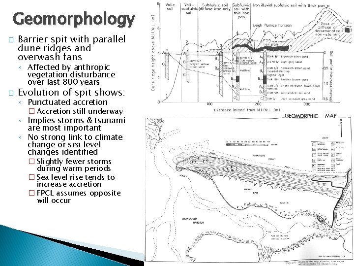 Matarangi south Dr Willem de Lange Geomorphology Barrier