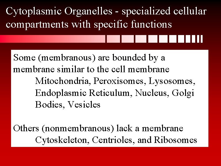 Anatomy Physiology Cells The Living Units Chapter 3