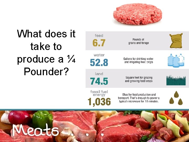 Meats A Identify the differences between beef pork