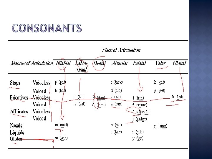 Dr Ansa Hameed Phonetics Articulatory Phonetics Acoustic Phonetics