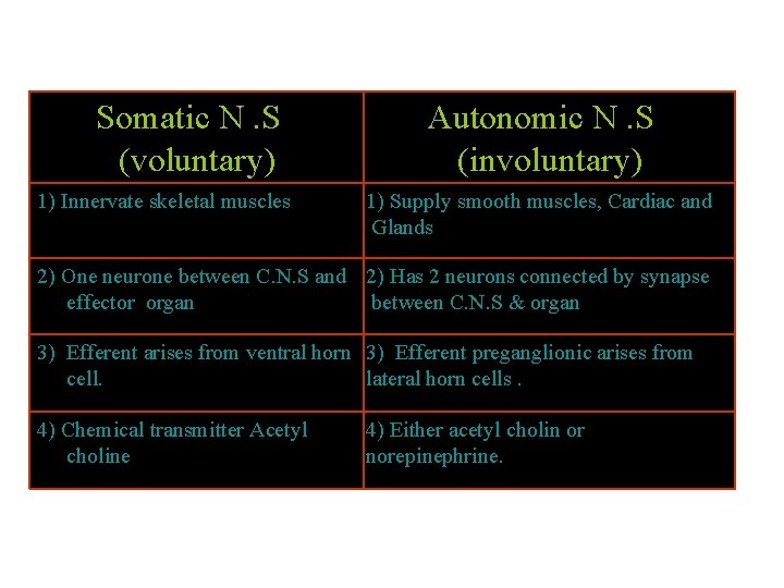 Physiology of Autonomic Nervous System Second Year Medicine