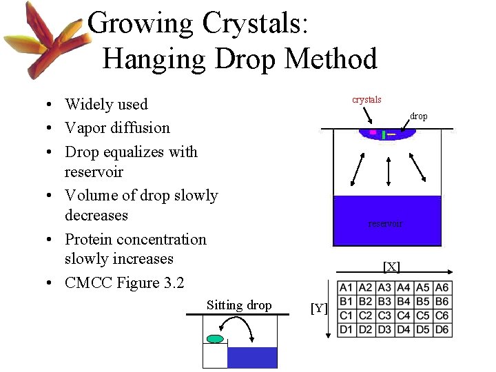 Growing Protein Crystals Using CalciumIntegrin Binding Protein as