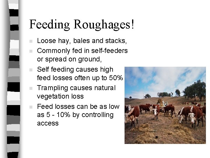 Operating Calibrating and Maintaining Feed Handling Systems Lesson
