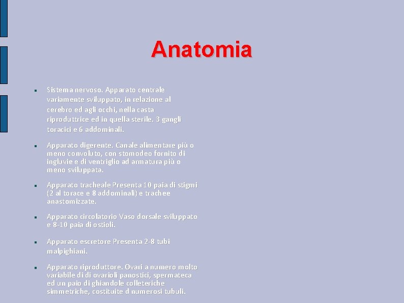 Termiti Isoptera Regno Animalia Phylum Arthropoda Classe Superordine