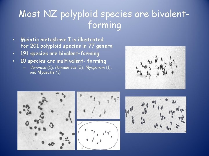 Evolutionary Significance Of Polyploidy In The New Zealand