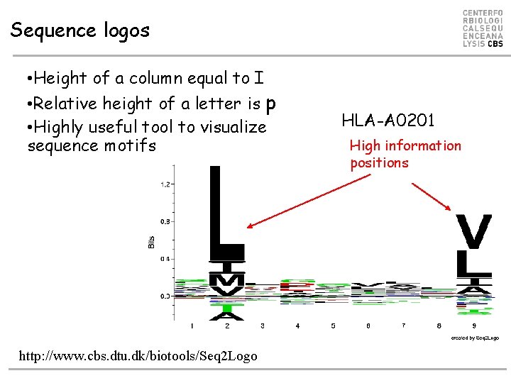 Sequence motifs information content and sequence logos Morten