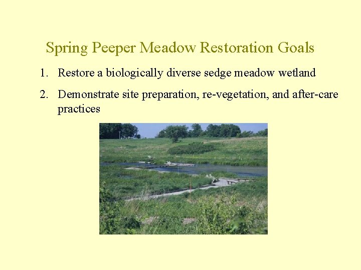 Spring Peeper Meadow The Restoration Process Julia Bohnen