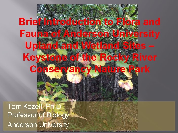 Brief Introduction to Flora and Fauna of Anderson