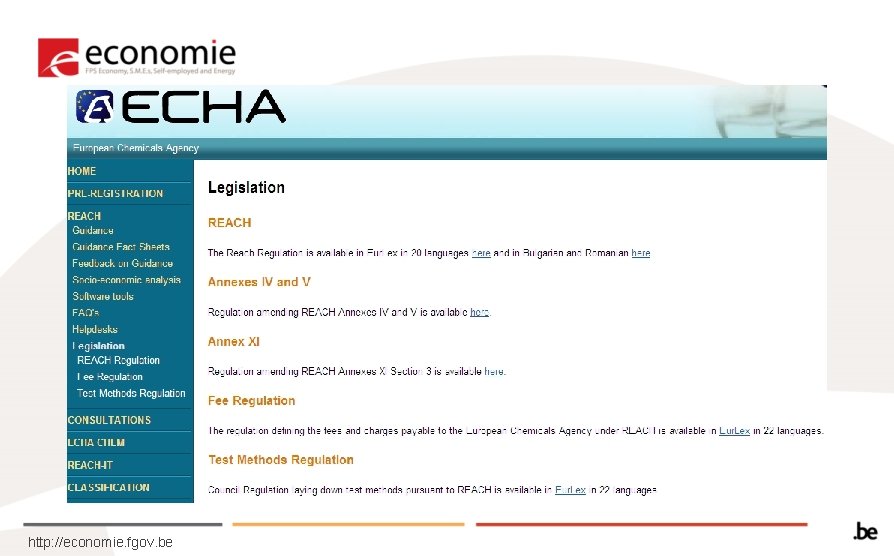 Workshop 3 Implementation of REACH in the regions
