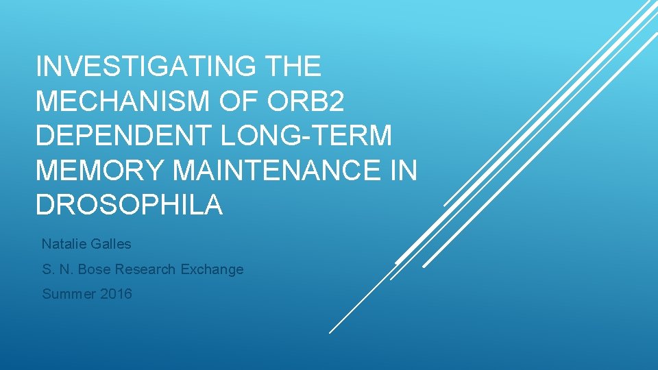 INVESTIGATING THE MECHANISM OF ORB 2 DEPENDENT LONGTERM
