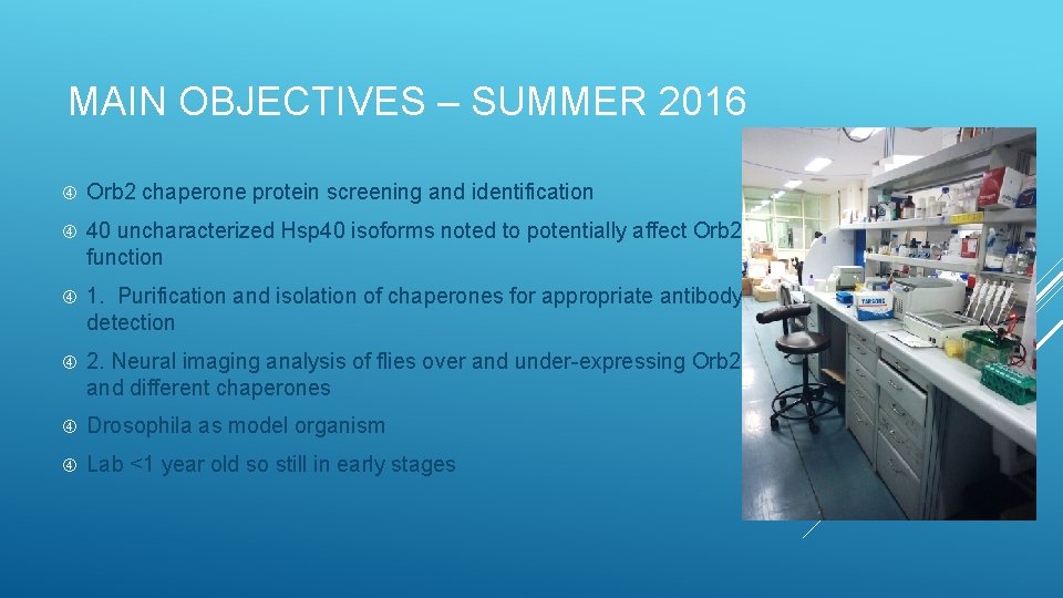 INVESTIGATING THE MECHANISM OF ORB 2 DEPENDENT LONGTERM