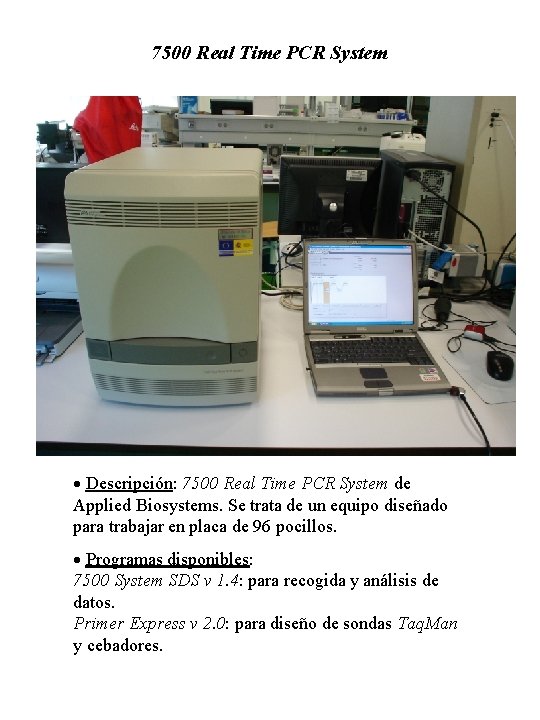 PCR a tiempo real Seccin de Biologa Molecular