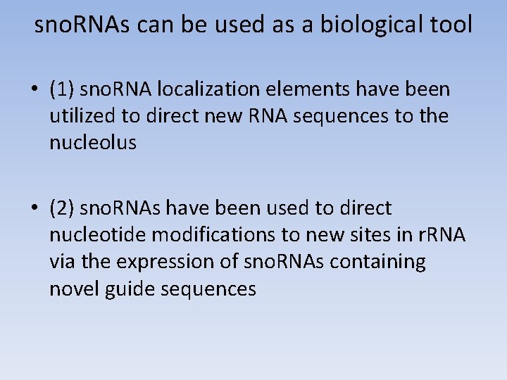 Small Nucleolar RNA Megan Salt BMS 265 Macromolecules