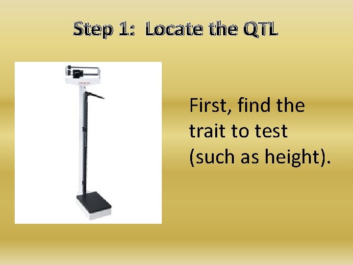 Human Quantitative Traits By Francesco Bartucci and Adnan