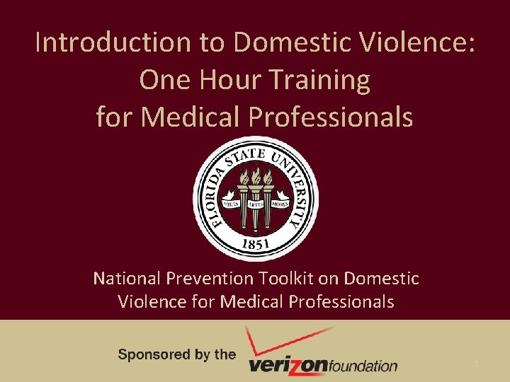Introduction to Domestic Violence One Hour Training for