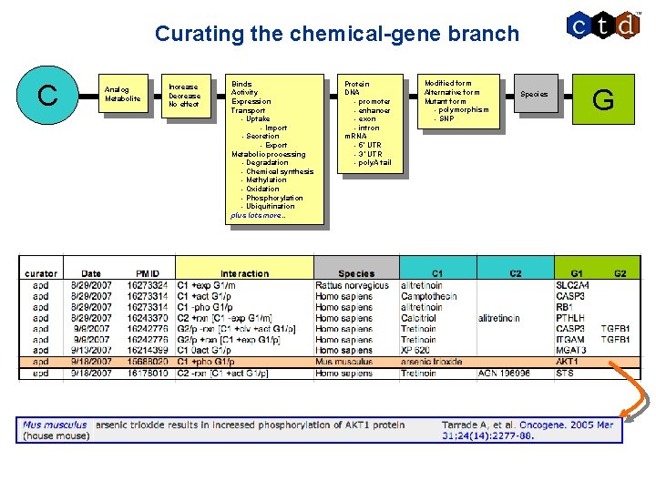 Curating the Comparative Toxicogenomics Database a knowledge and