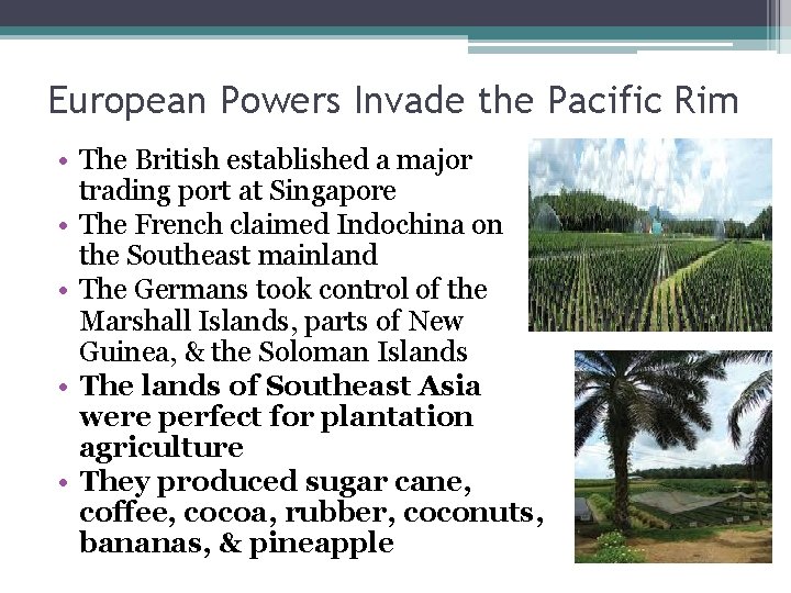 Chapter 11 Section 5 Imperialism in Southeast Asia