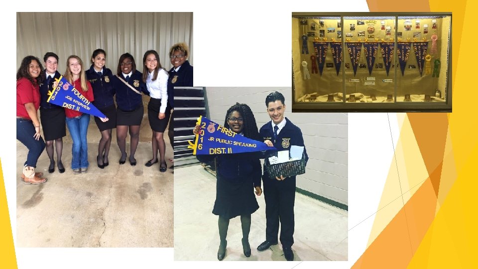 FFA PLEDGE FFA MEMBERS WHY ARE WE TO