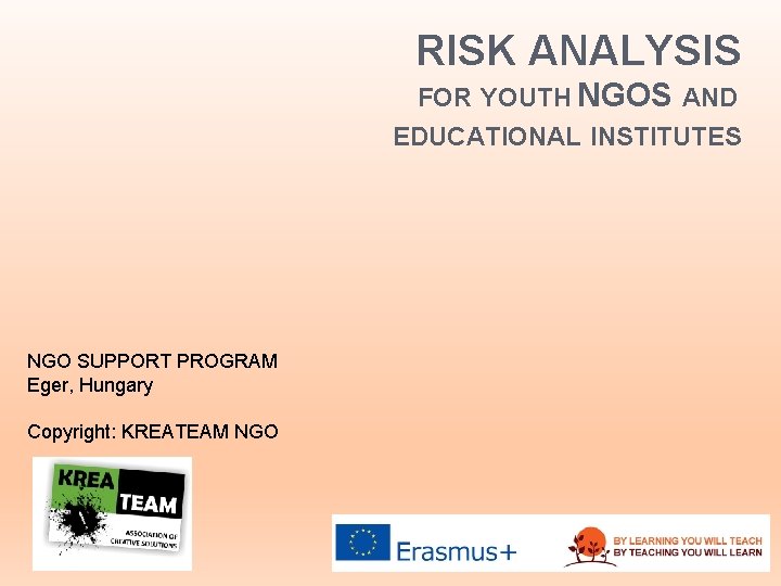 RISK ANALYSIS FOR YOUTH NGOS AND EDUCATIONAL INSTITUTES