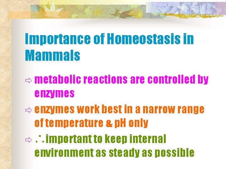 Importance of Homeostasis in Mammals metabolic reactions are