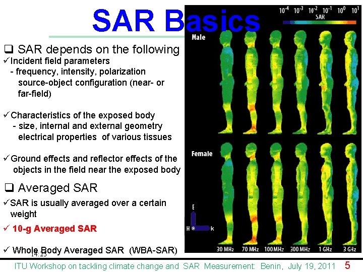 Challenges of Mobile Phone SAR Enforcement in Africa