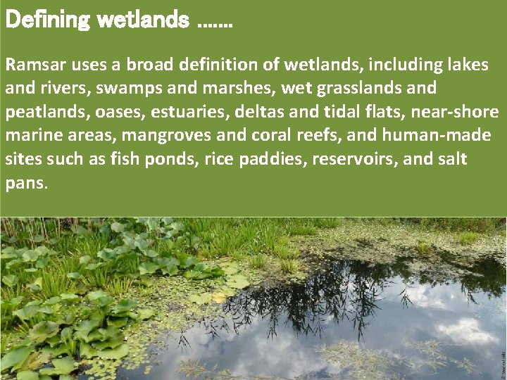 WETLANDS AND AGRICULTURE PARTNERS FOR GROWTH WORLD WETLANDS
