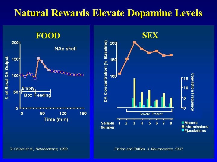 NIDA NATIONAL INSTITUTE ON DRUG ABUSE Bringing the