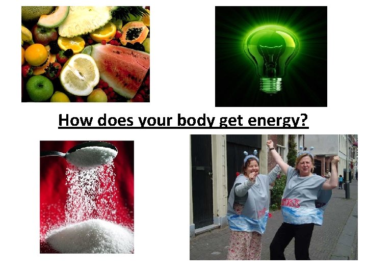 Photosynthesis and Cellular Respiration How does your body