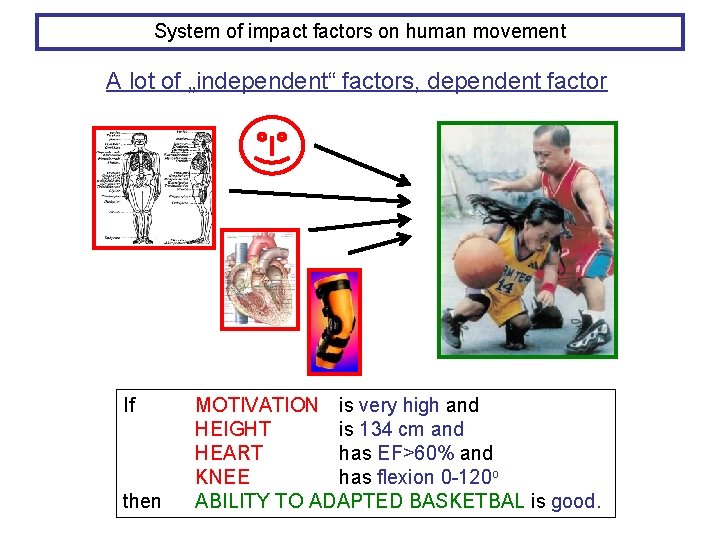 System of impact factors on human movement The