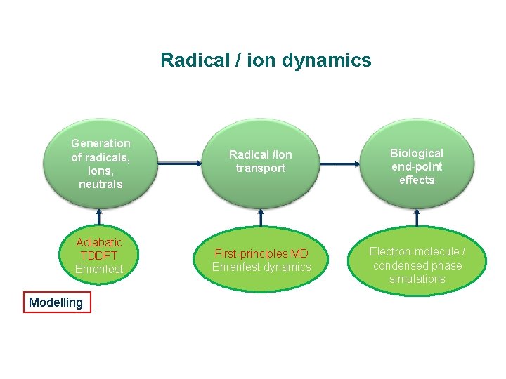 Firstprinciples simulations of the interaction of ionic projectiles