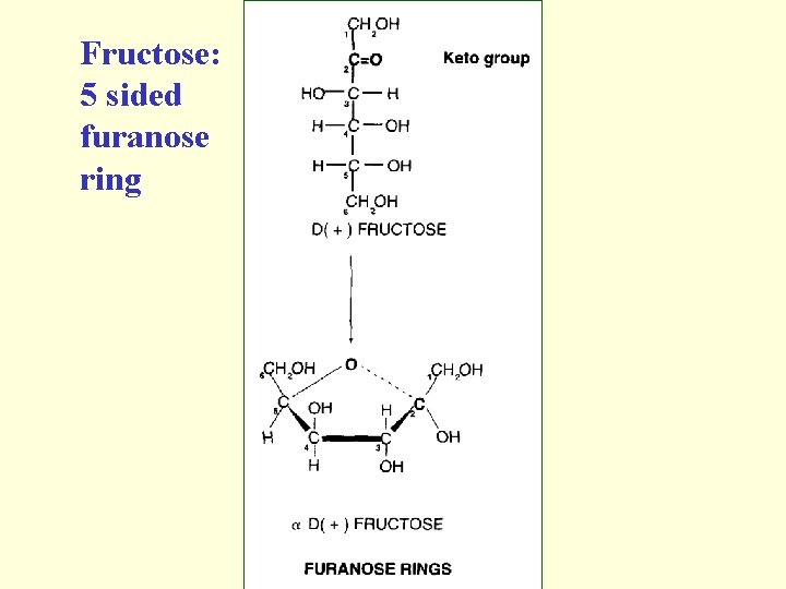 Ch 2 Molecular Organization 2 1 INORGANIC IONS