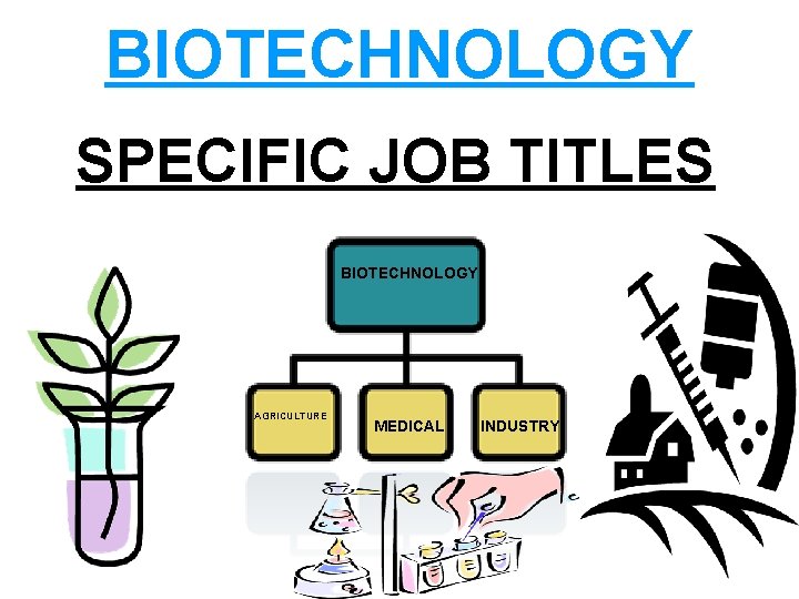 BIOTECHNOLOGY CAREER OPPORTUNITIES BIOTECHNOLOGY CAREER CATEGORIES ...