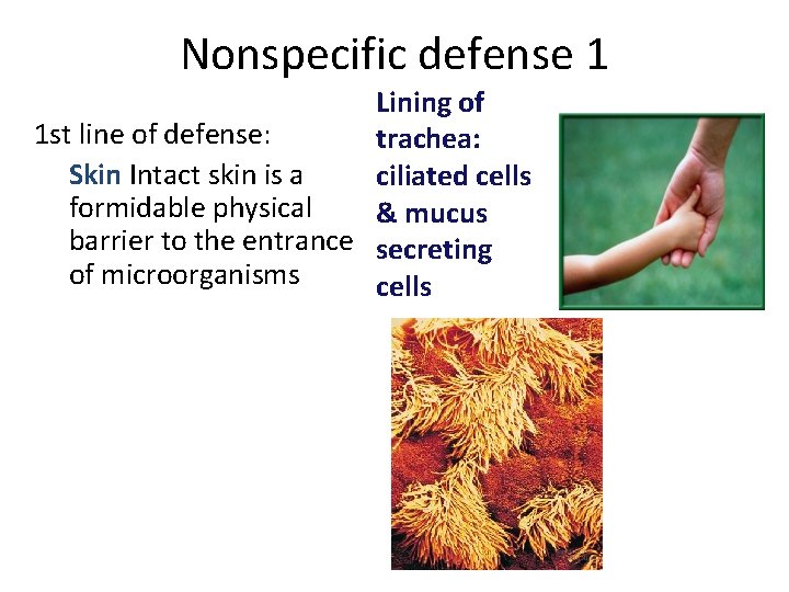 Immune Defense against Disease What is an infectious
