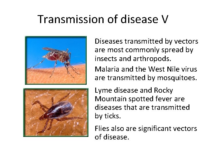 Immune Defense against Disease What is an infectious