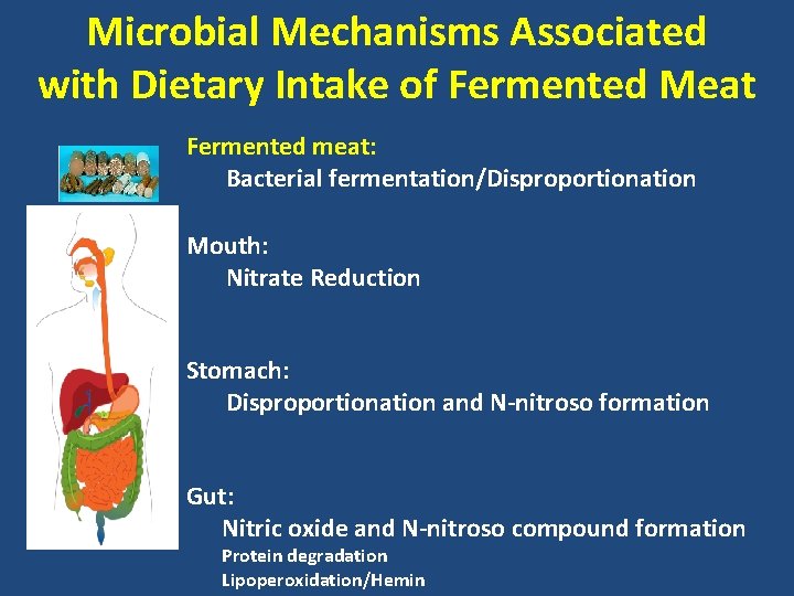 Fermented Meats and Implications in Human Health The