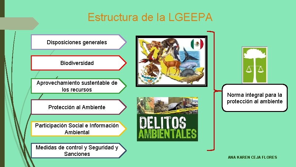 TEMA IV BASES CONSTITUCIONALES DE PROTECCIN AL AMBIENTE