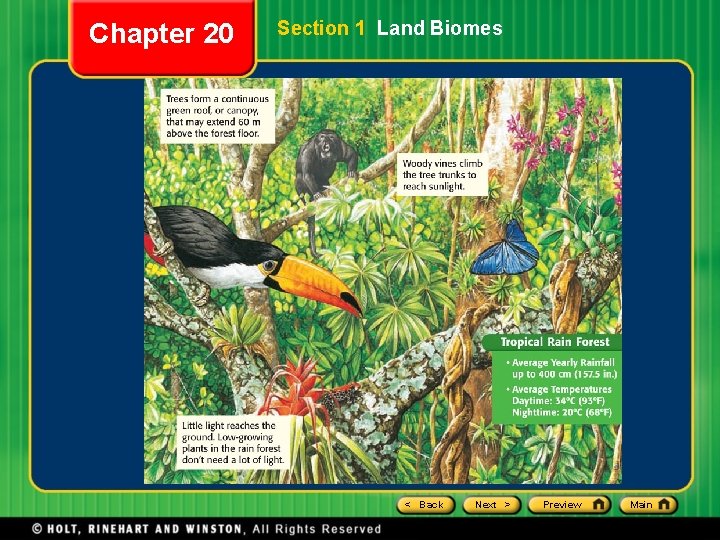 Chapter 20 The Earths Ecosystems Preview Section 1